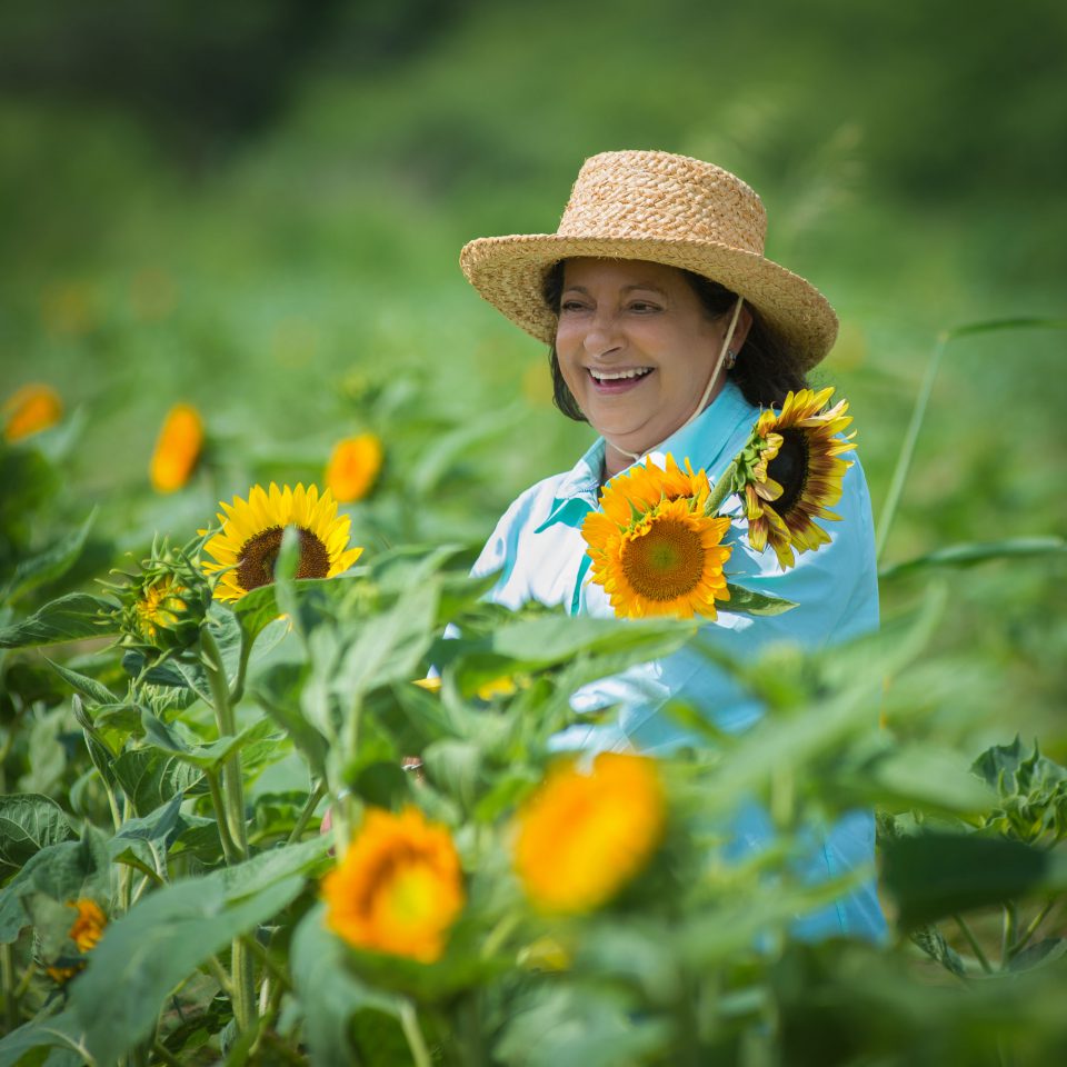 LifeLink of Florida Archives - Barbara Banks PhotographyBarbara Banks ...